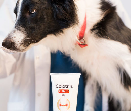 Home – John Martin