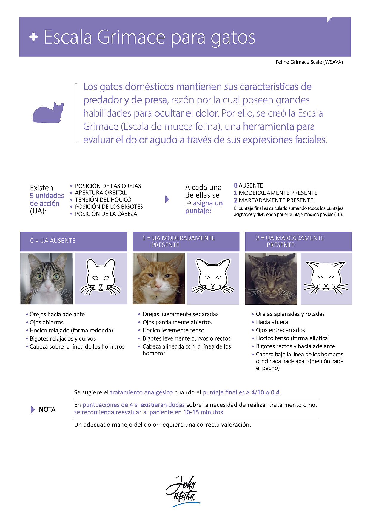 Escala de Grimace – John Martin