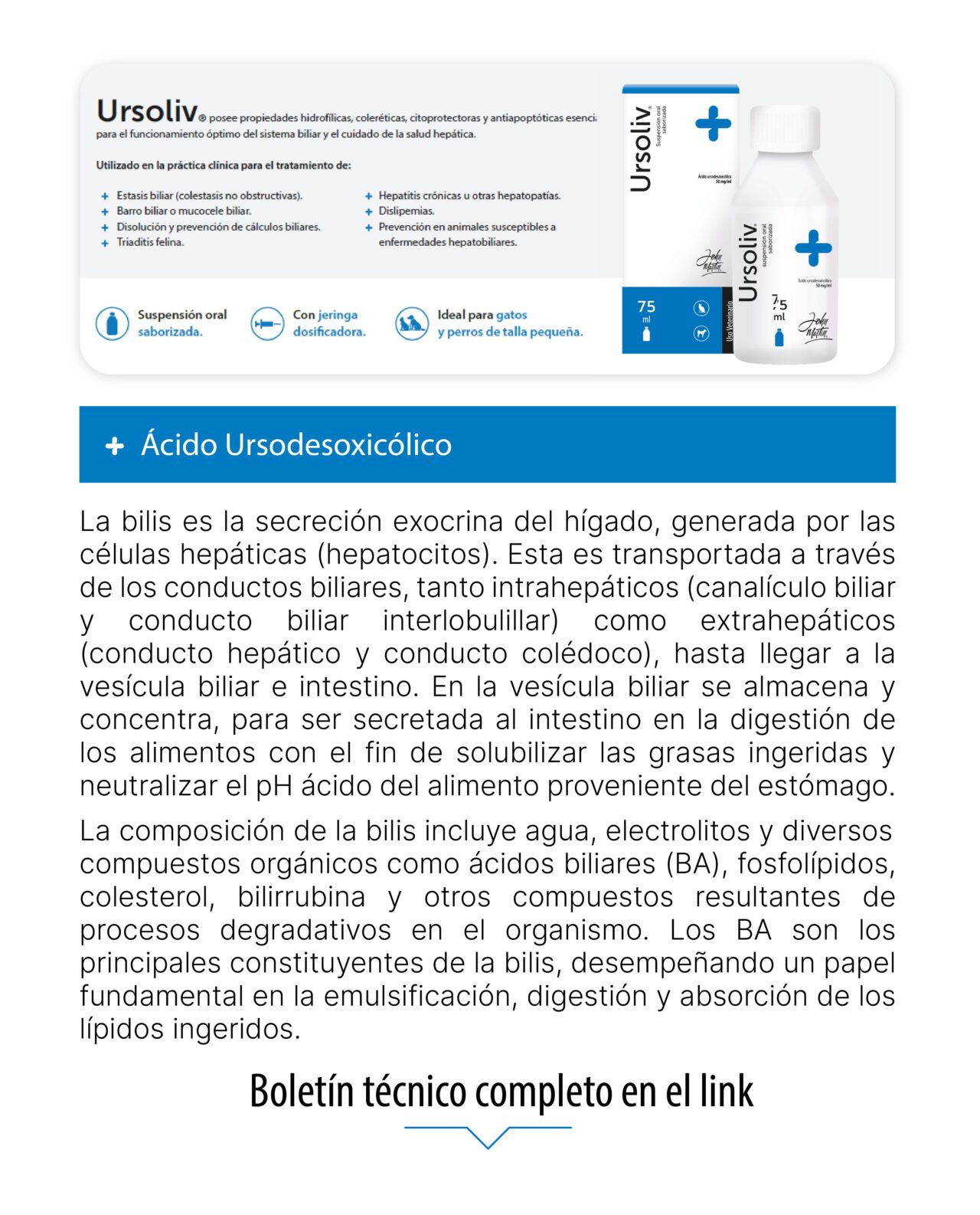 Ursoliv - Ácido Ursodesoxicólico – John Martin